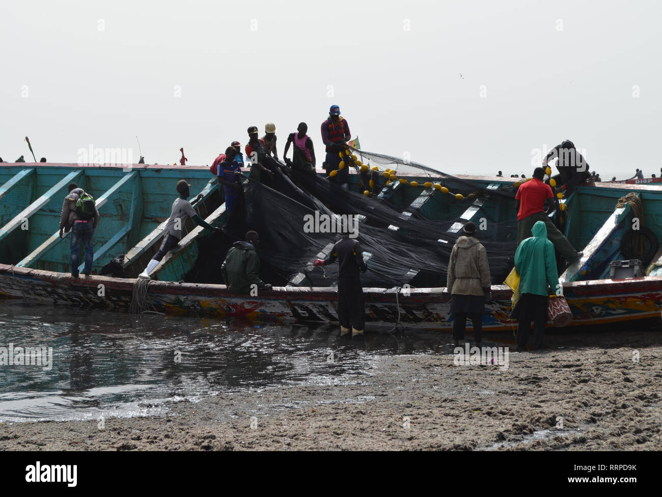 Risk of overfishing hi-res stock photography and images - Alamy
