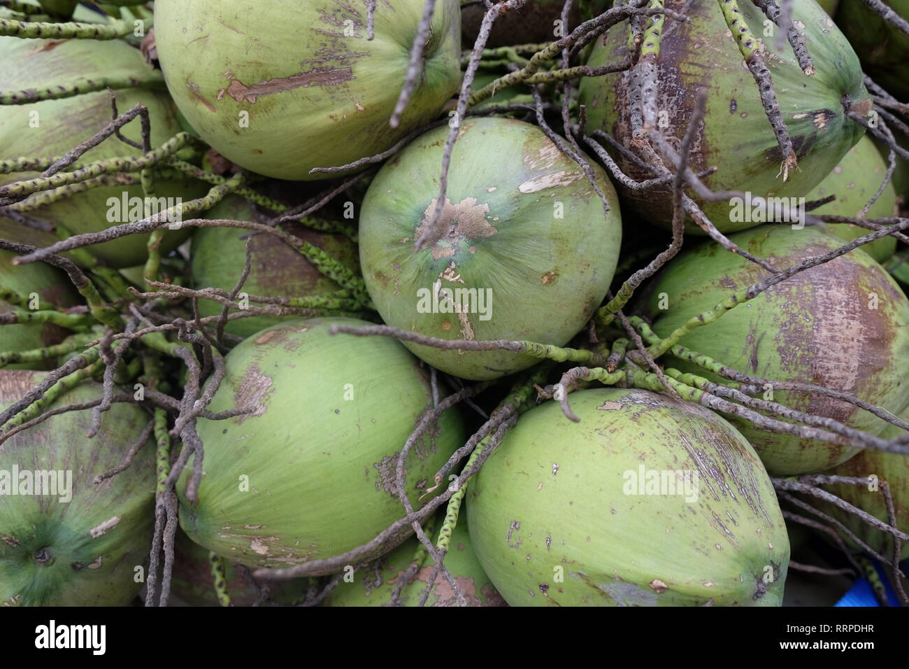 Coconut, coconut tropical fruit natural background Stock Photo - Alamy