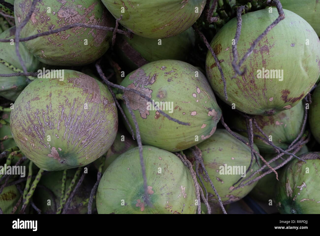 Coconut, coconut tropical fruit natural background Stock Photo - Alamy