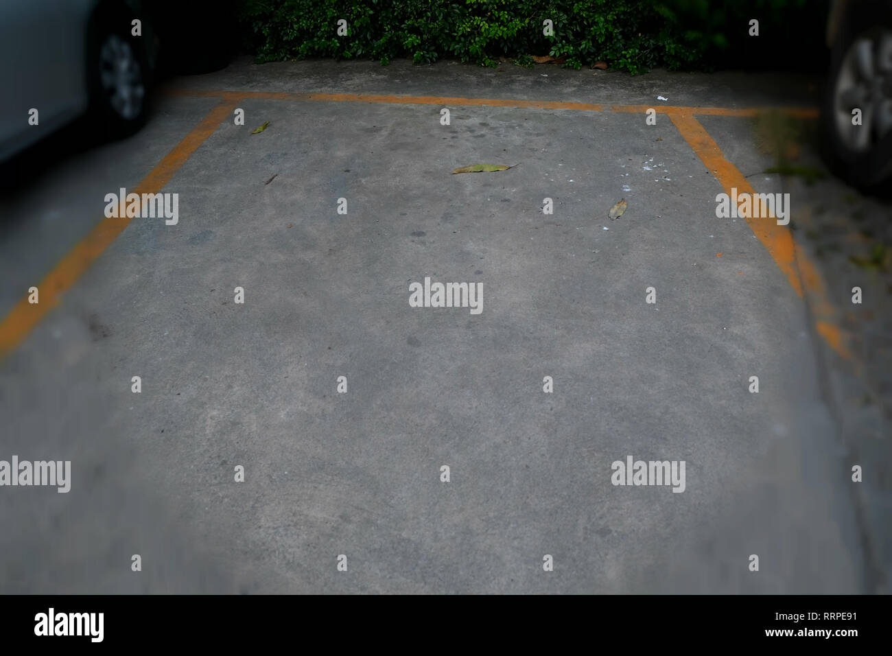 The image of Car parking in car park on daytime Stock Photo - Alamy