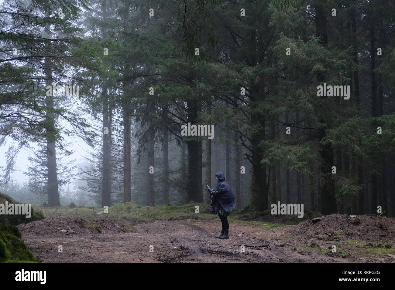 Phone reception forest hi-res stock photography and images - Alamy