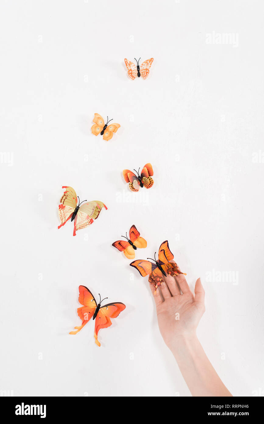 Woman releasing butterflies hi-res stock photography and images - Alamy