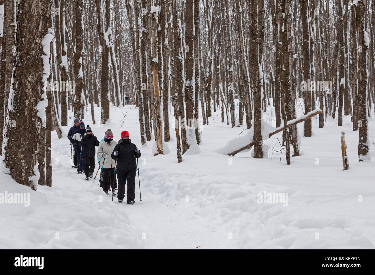 Eben Junction, Michigan - Hikers in the Rock River Canyon Wilderness of ...