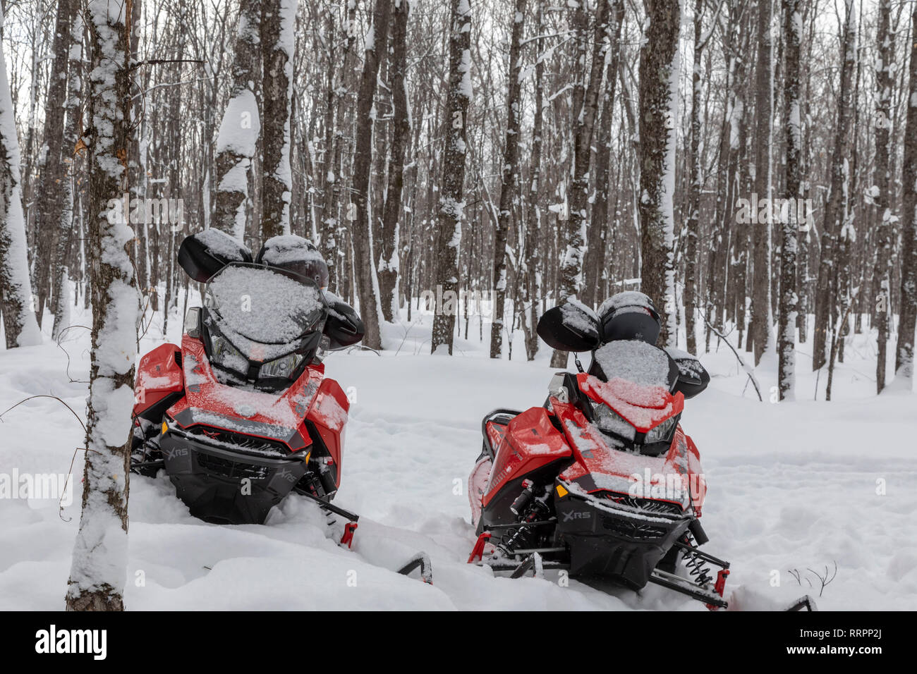 Eben Junction, Michigan - Two snowmobiles parked at the edge of the ...
