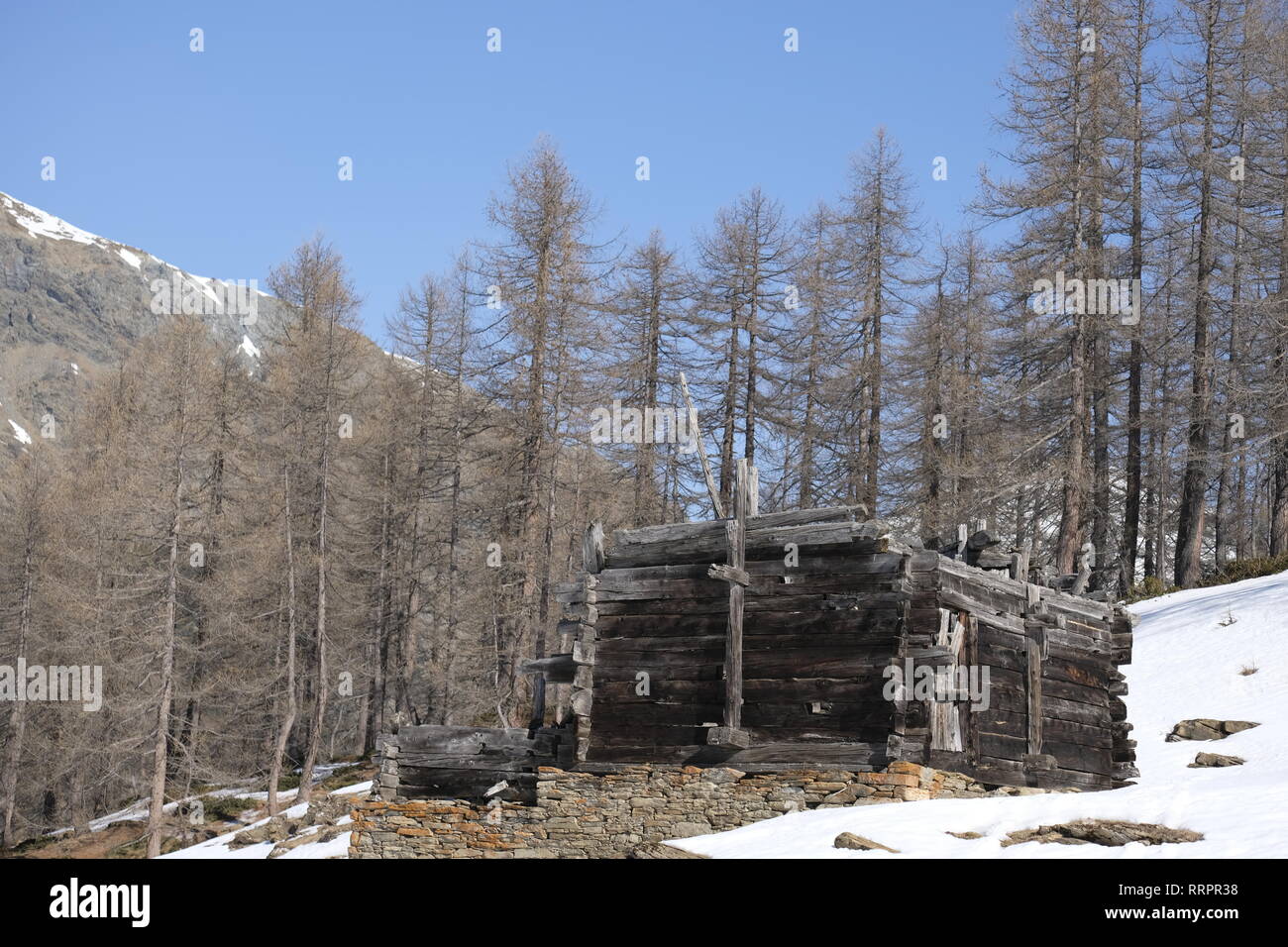 abandoned old wood house in italian alps - mountain Stock Photo - Alamy