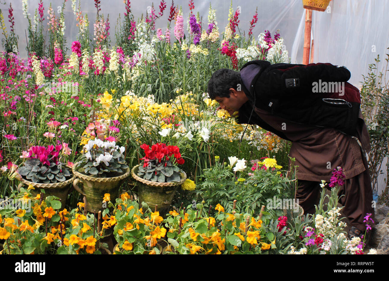 Kandahar Afghanistan Kabul High Resolution Stock Photography and Images ...