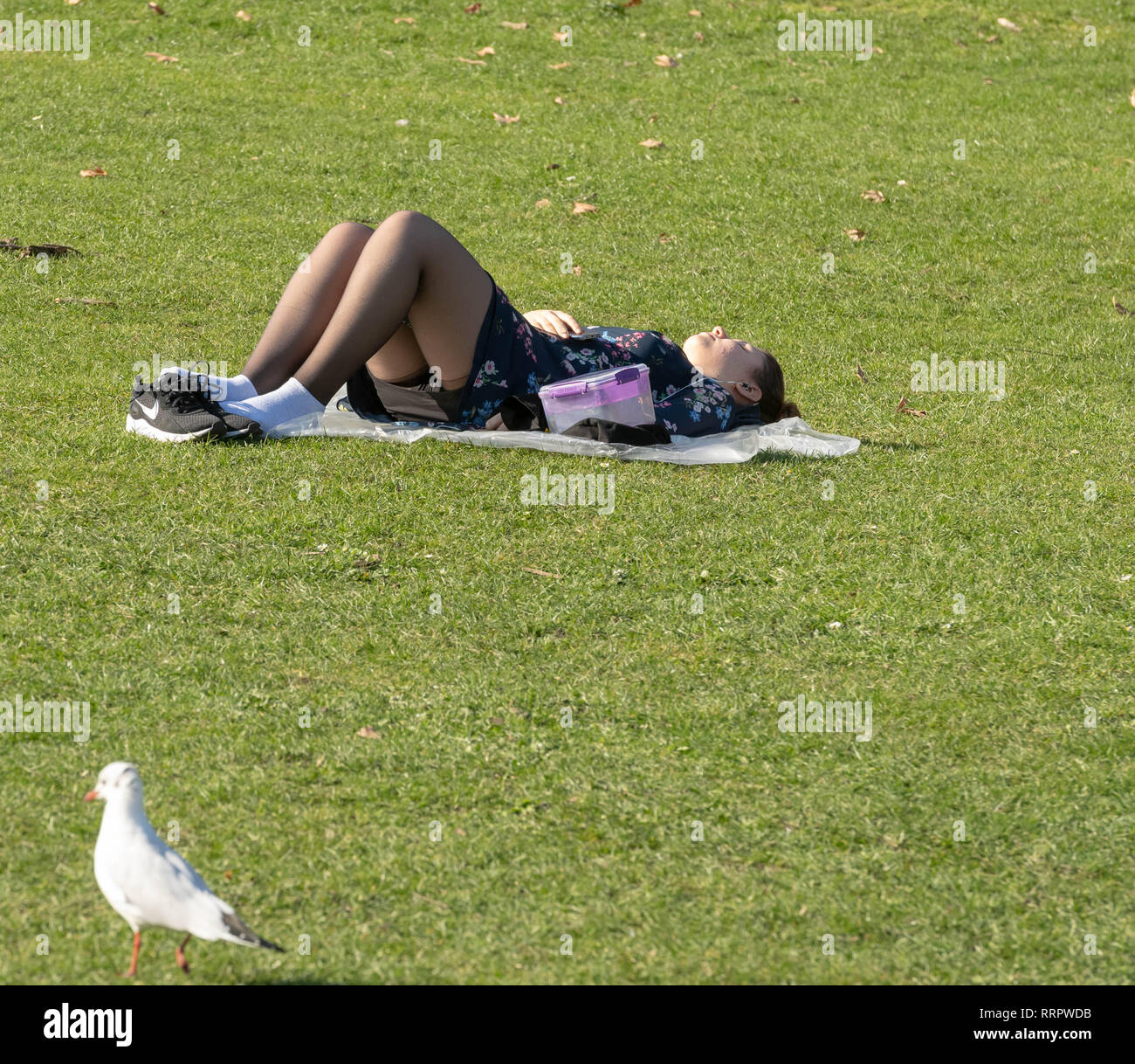 Girl in park with tights and socks hi-res stock photography and images ...