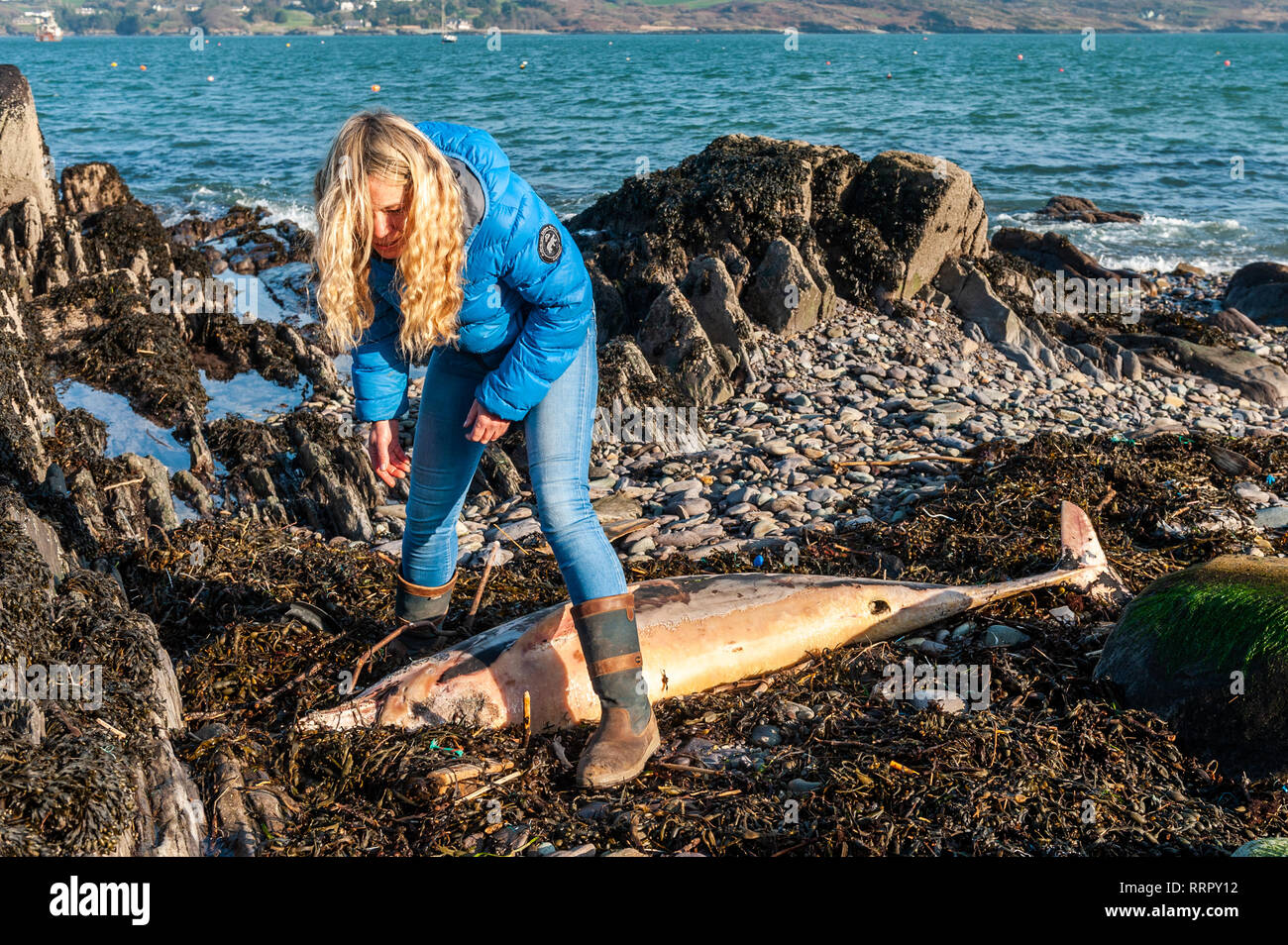 Dead woman found on hi-res stock photography and images - Alamy