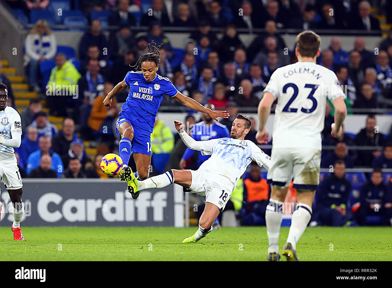 Morgan Schneiderlin of Everton and Bobby Reid of Cardiff City during ...