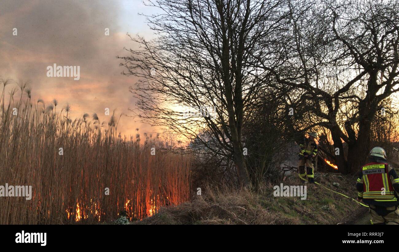 Solingen, Germany. 26th Feb, 2019. Firefighters try to extinguish the ...