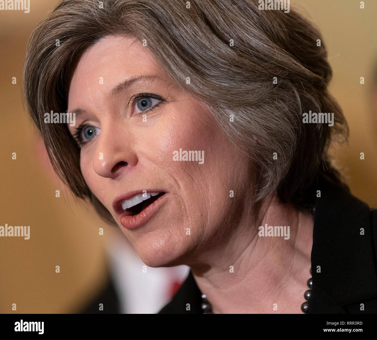 Joni ernst hi-res stock photography and images - Alamy