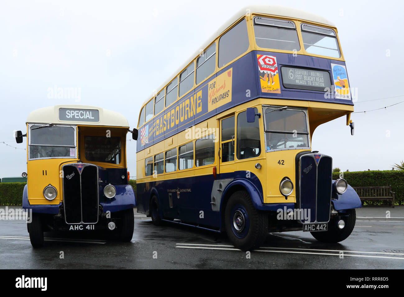 old eastbourne public transport buses on the seafront at eastbourne ...