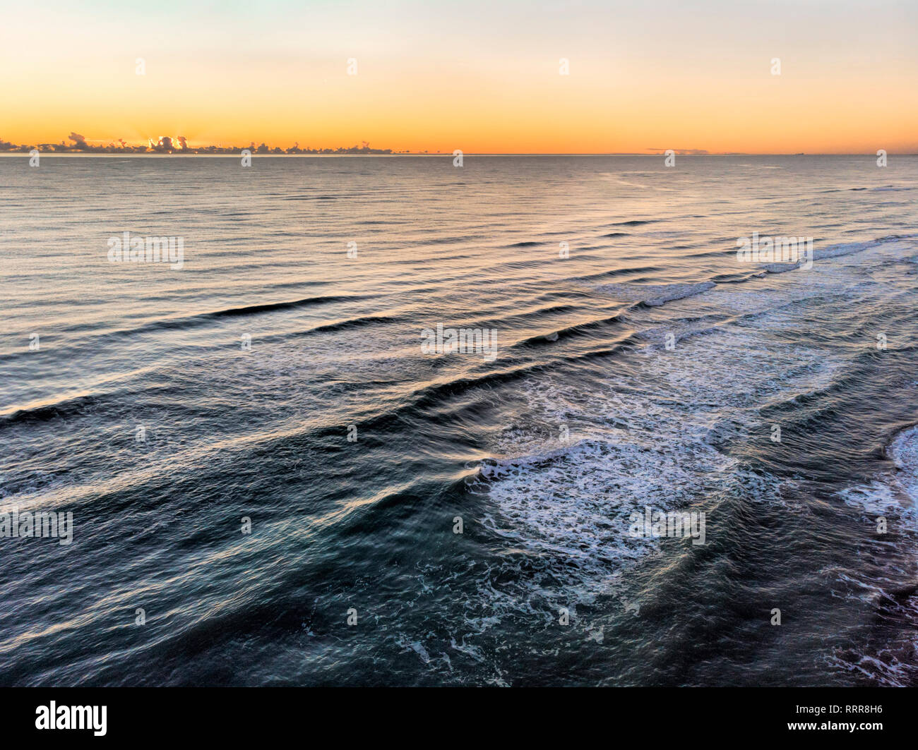 Golden hour rose hi-res stock photography and images - Alamy