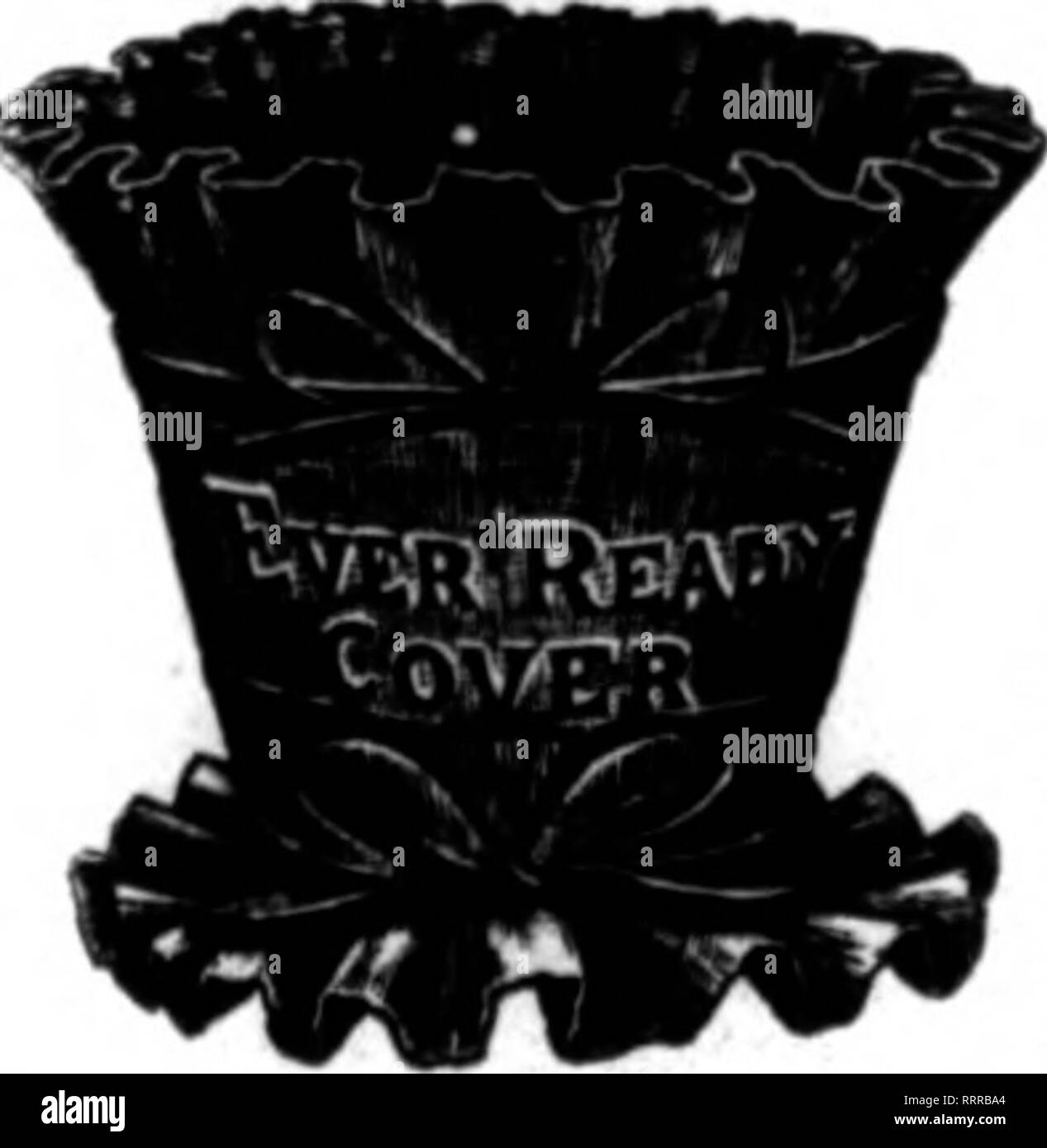 Qreen leaves hi-res stock photography and images - Alamy