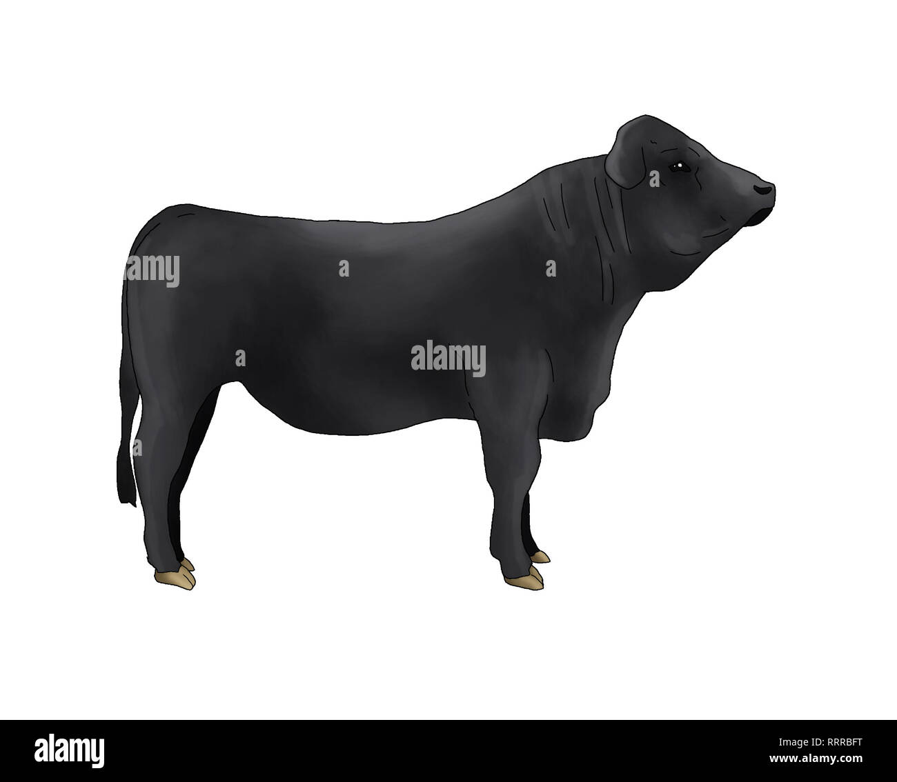 Middle east village life Cut Out Stock Images & Pictures - Alamy