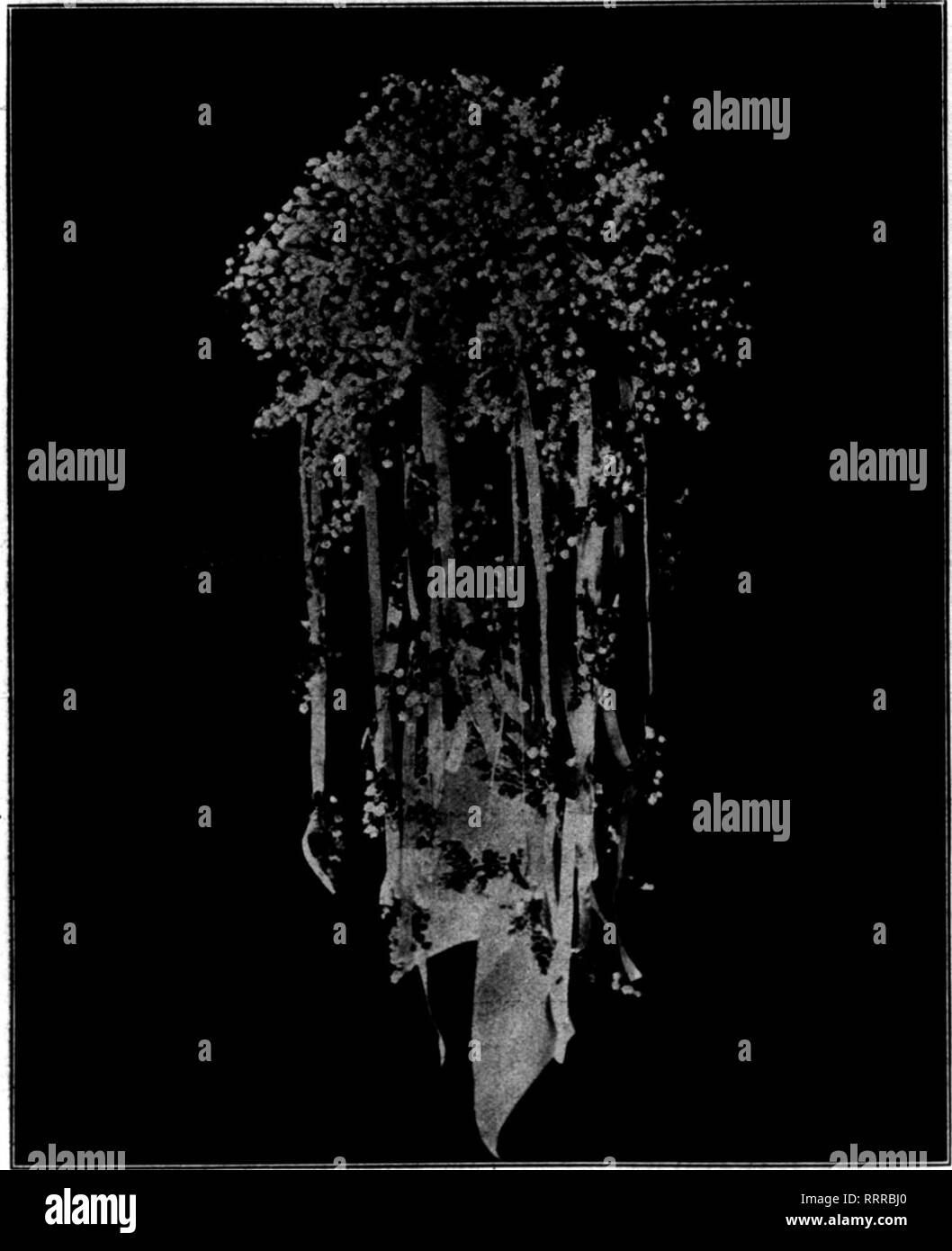 Violet blue falls Black and White Stock Photos & Images - Alamy