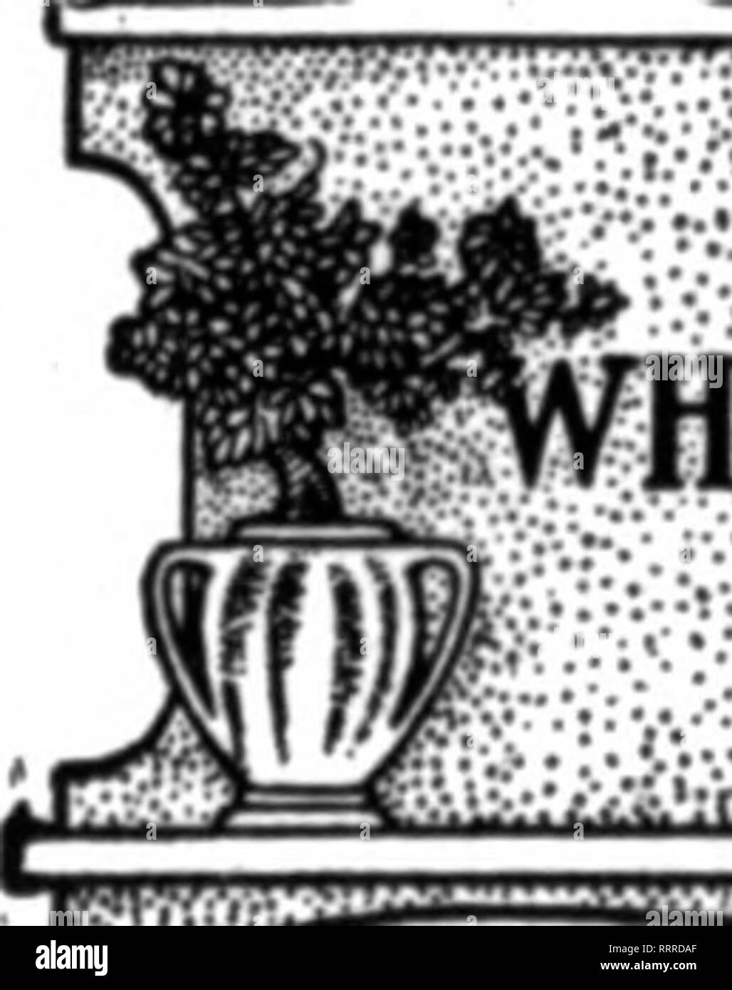 . Florists' review [microform]. Floriculture. M»bHoh fit* R»n>i> irtwa ...