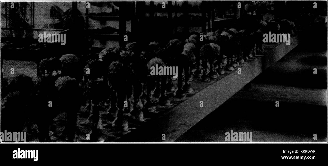 Twelve varieties Black and White Stock Photos & Images - Alamy