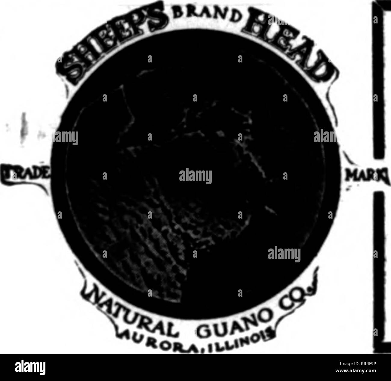 Full lne hi-res stock photography and images - Alamy