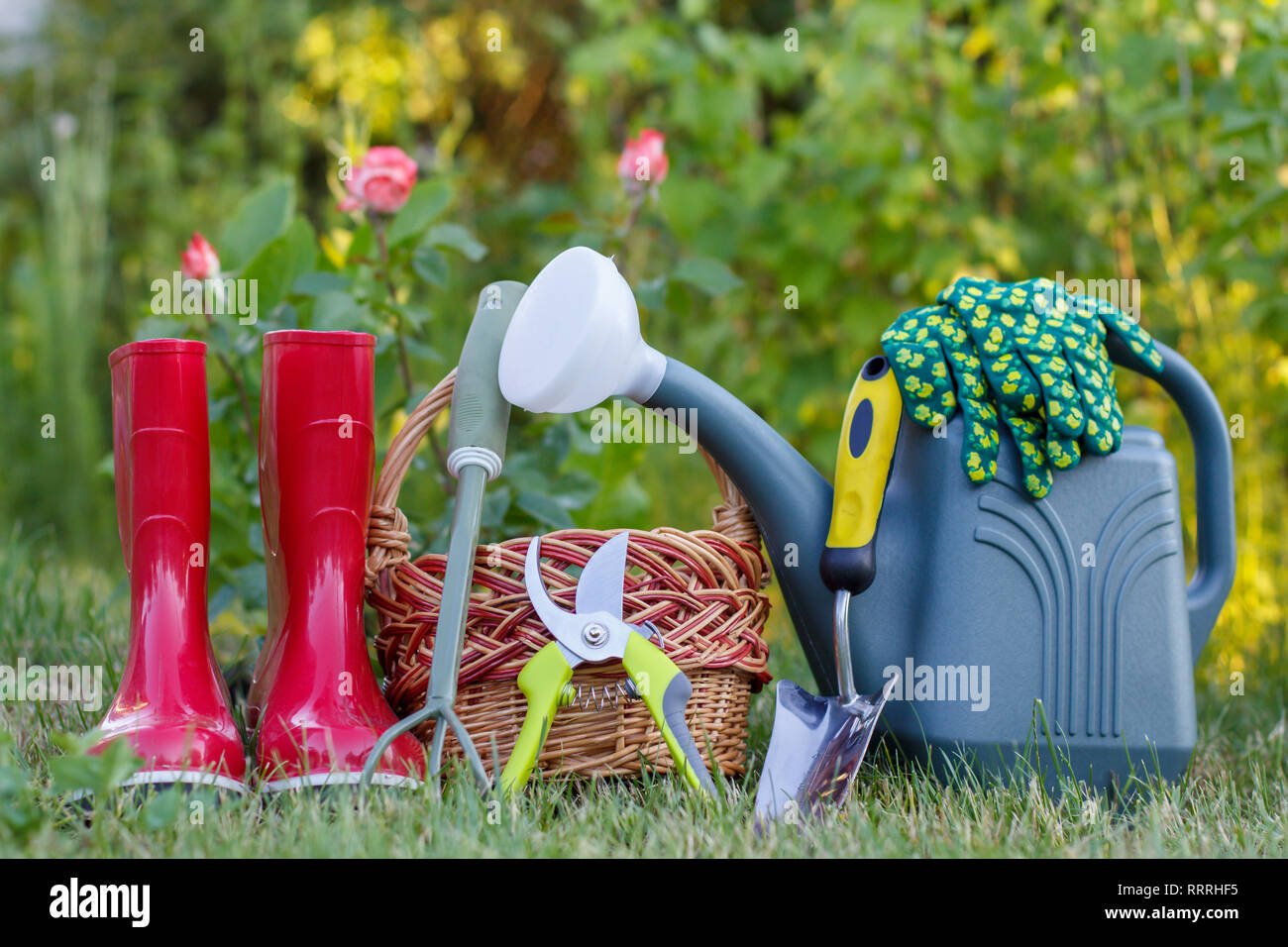 Red garden rubber boots, small rake, pruner, wicker basket, trowel and ...