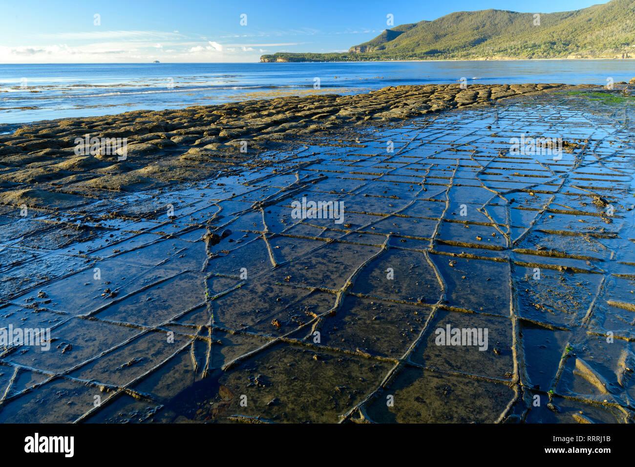 Oceania, Australia, Australian, Tasmania, Eaglehawk Neck, Tessellated ...