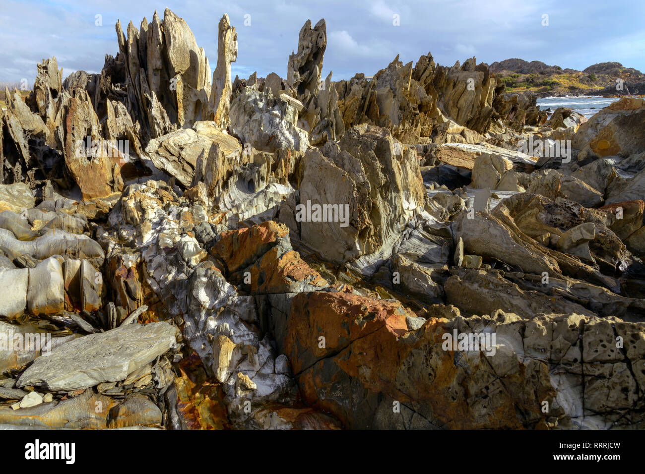 Oceania, Australia, Australian, Down Under, Tasmania, Tarkine Coast ...