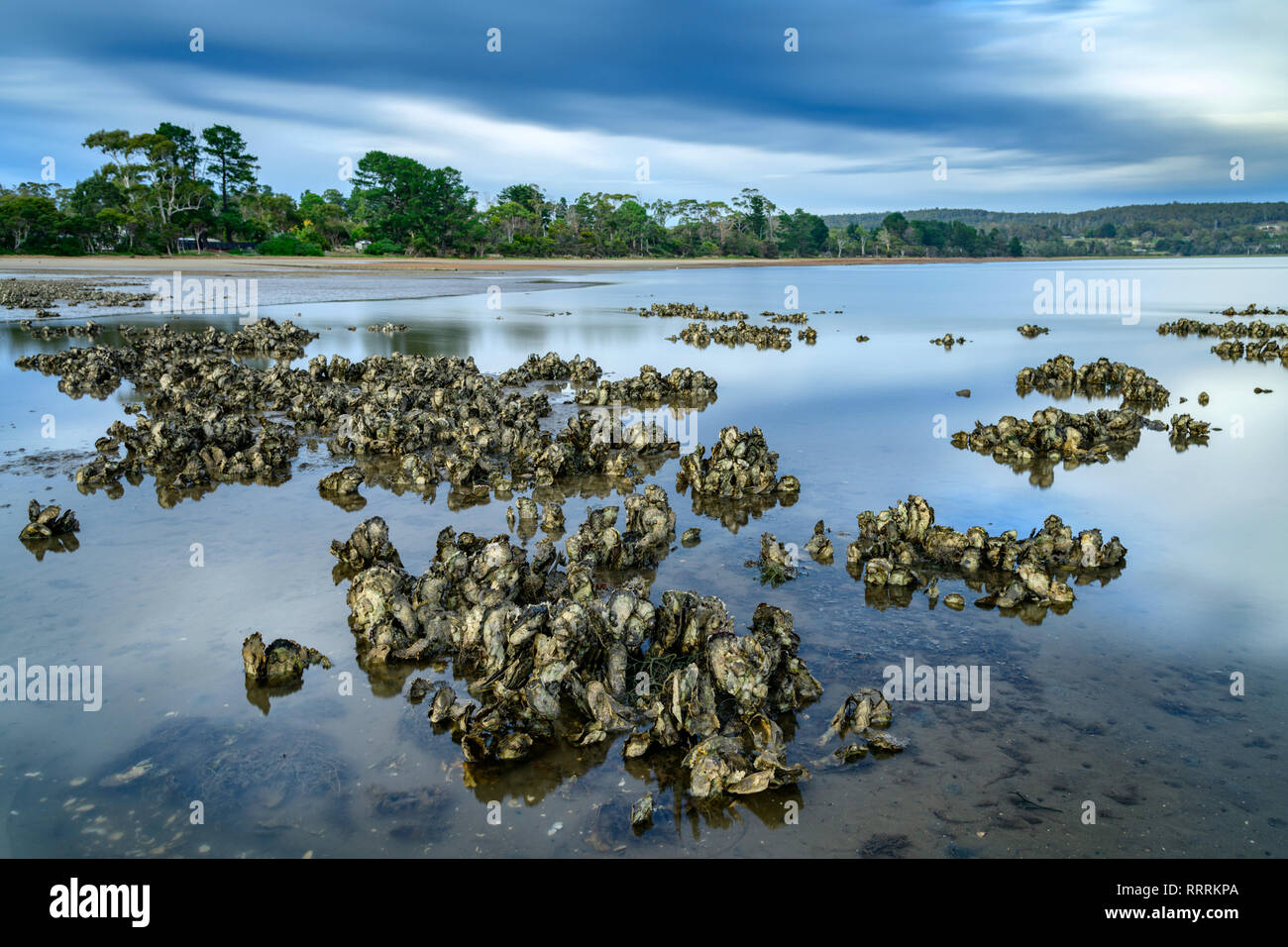 Oceania, Australia, Australian, Tasmania, Launceston, Tamar River ...
