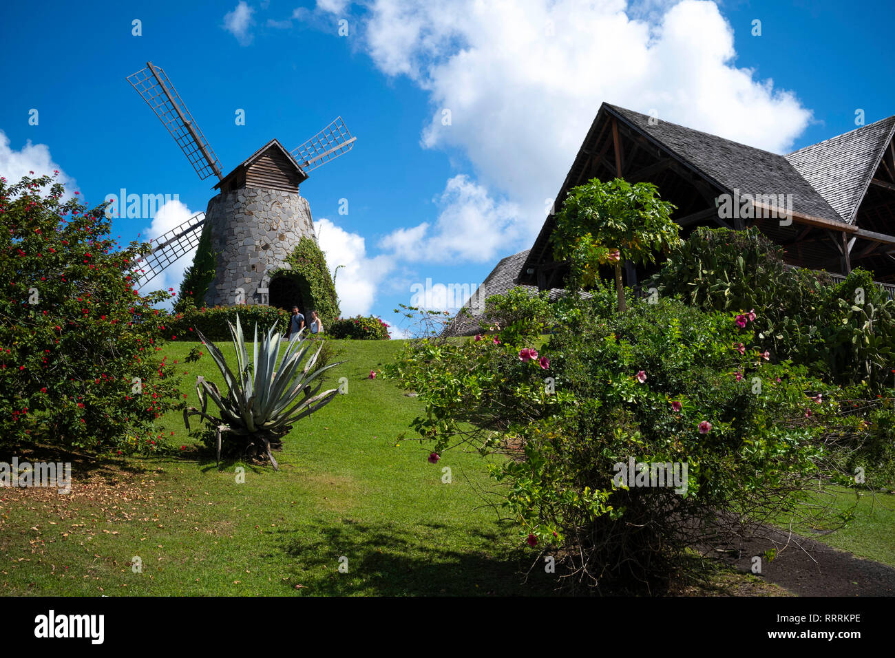 Trois Rivieres rum distillery in Martinique, French Antilles Stock ...