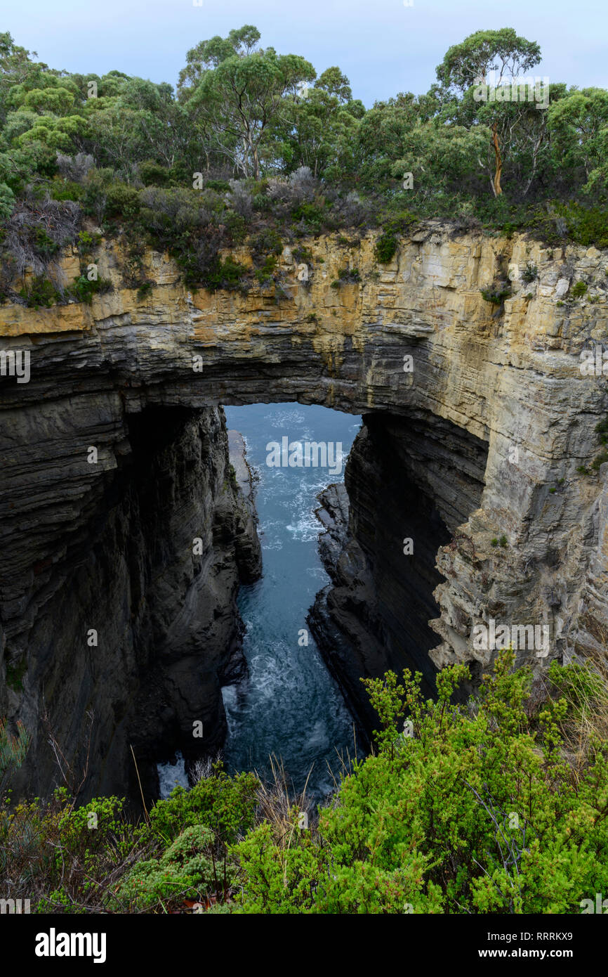 Oceania, Australia, Australian, Tasmania,Tasman Peninsula, Tasman ...