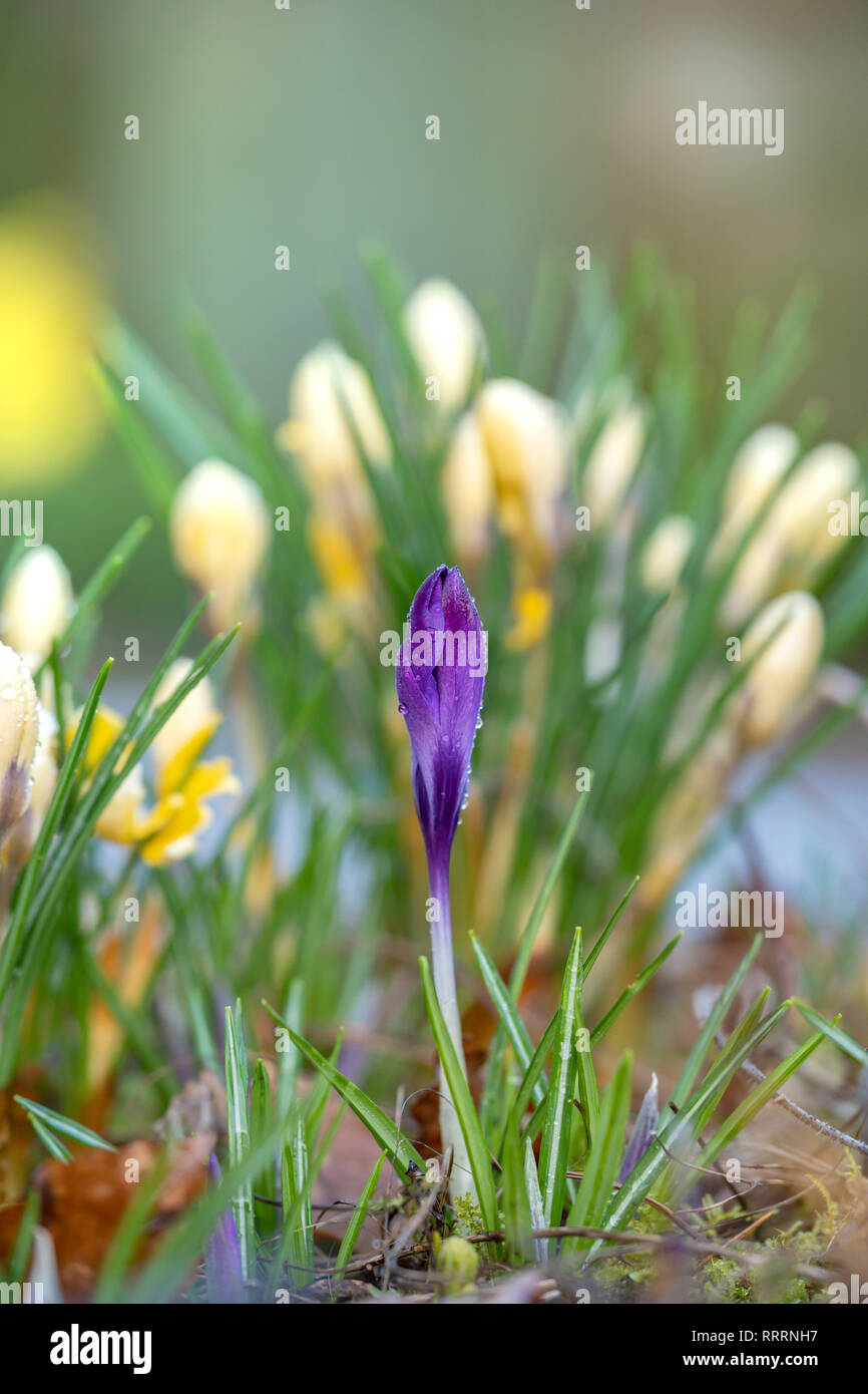 Front differential hi-res stock photography and images - Alamy