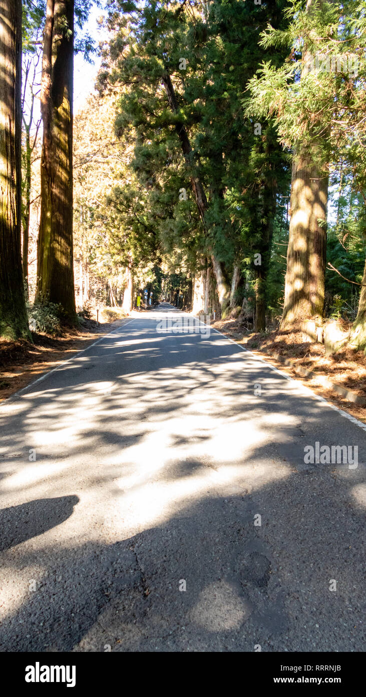 30 Meter Tall High Resolution Stock Photography and Images - Alamy