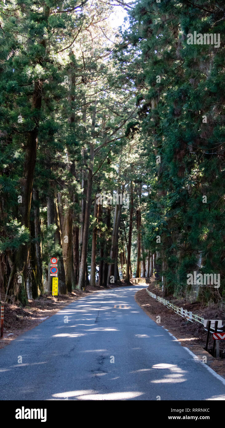 30 meter tall hi-res stock photography and images - Alamy