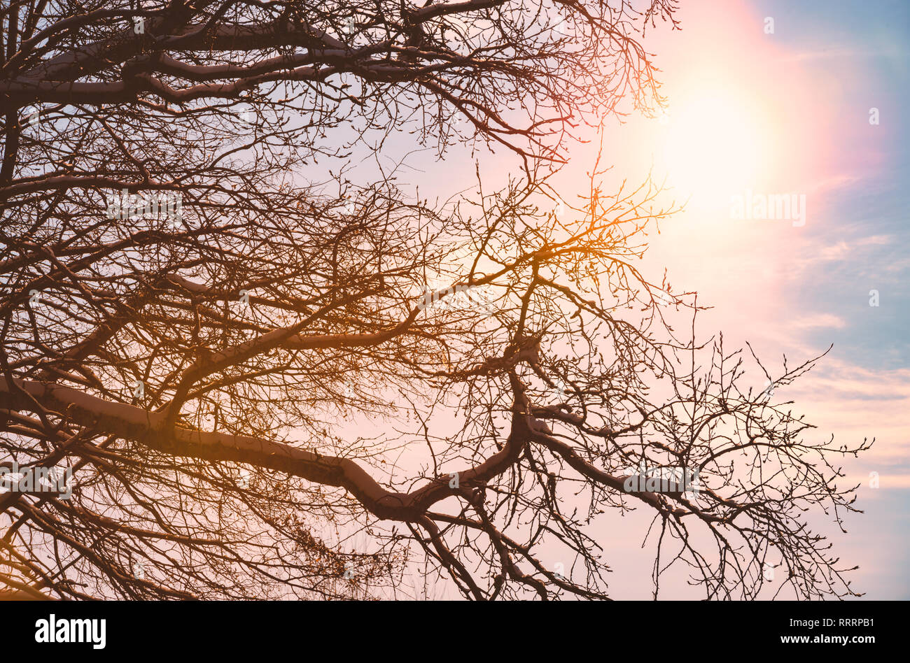 Beautiful sunset sky through frozen hi-res stock photography and images ...