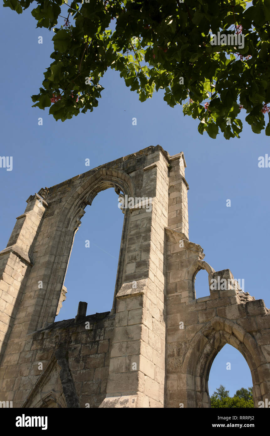 Ruine, Zisterzienser Kloster Walkenried, Harz, Niedersachsen ...
