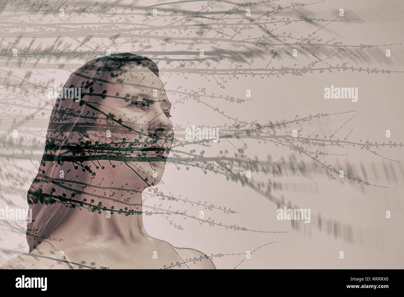 romantic woman fused with nature Stock Photo - Alamy