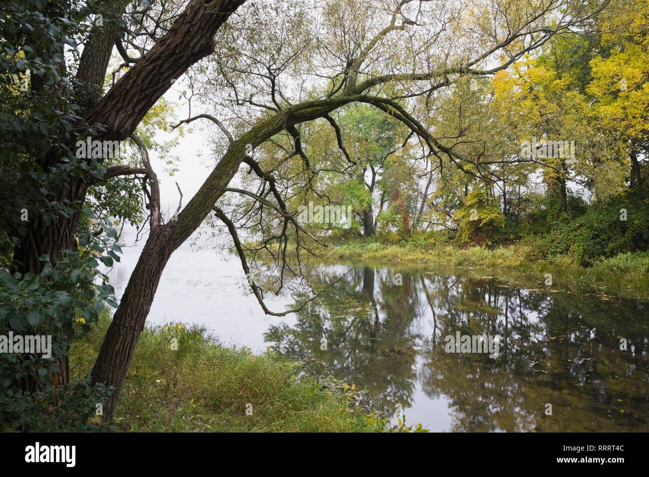 Mille-Iles river in autumn, Ile des Moulins, Old Terrebonne, Lanaudiere ...