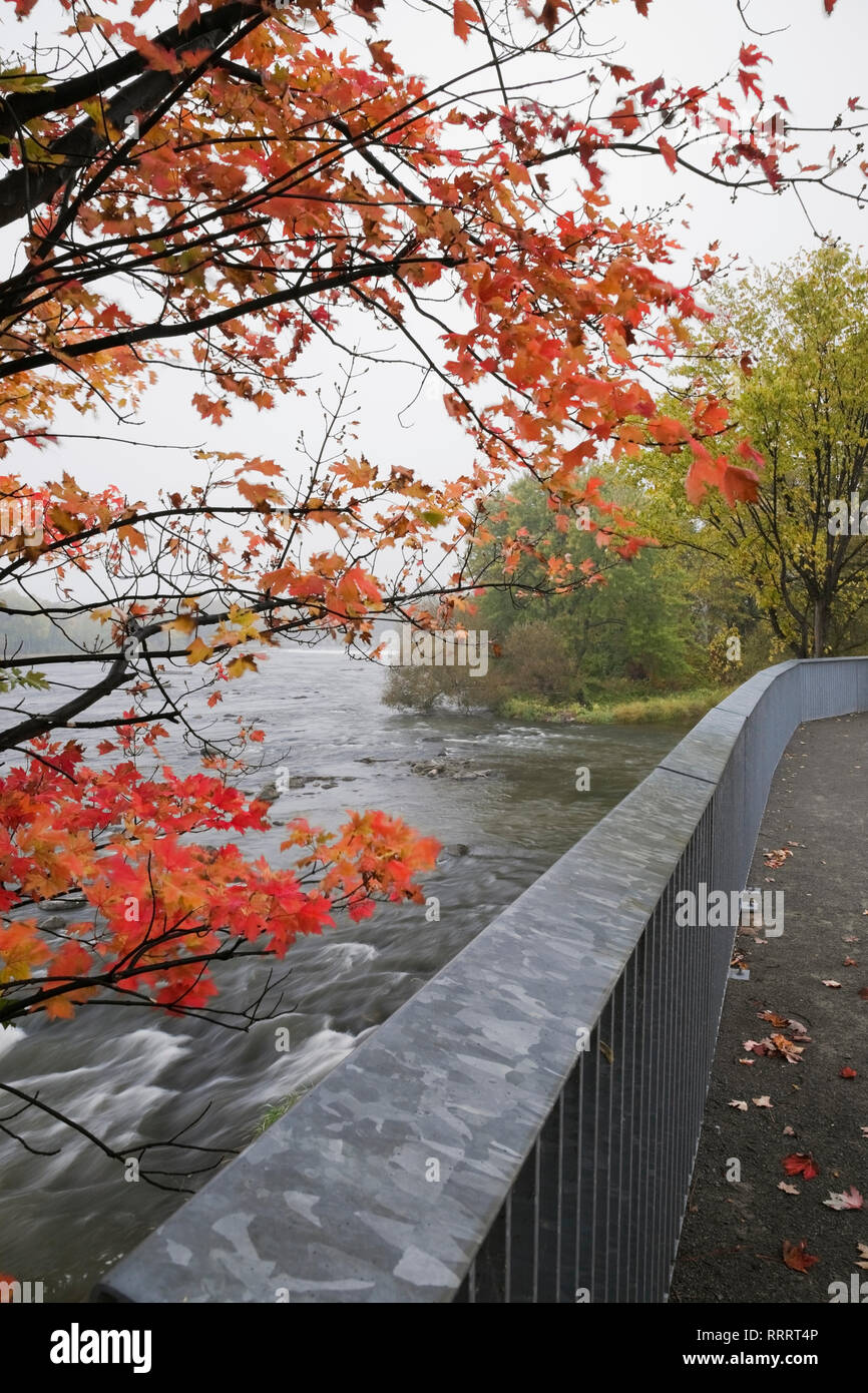 Mille-Iles river in autumn, Ile des Moulins public park, Old Terrebonne ...