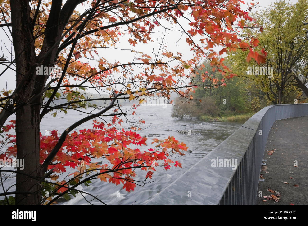 Mille-Iles river in autumn, Ile des Moulins public park, Old Terrebonne ...