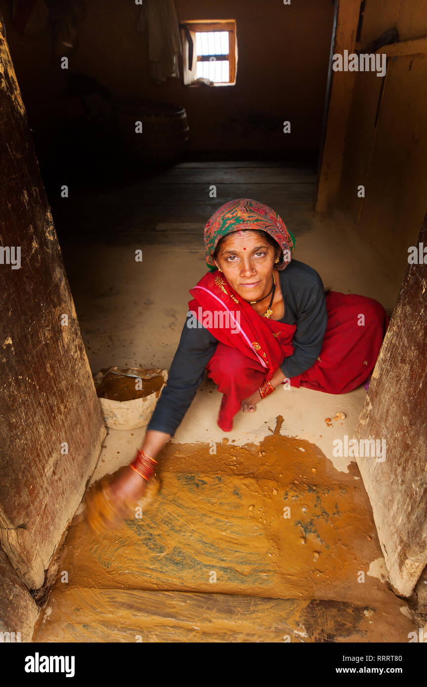 Indian woman rubbing cow dung on the floor, believed to be extremely ...