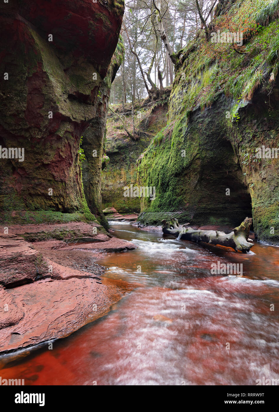The Devil's Pulpit (also known as Finnich Glen), Scotland Stock Photo ...