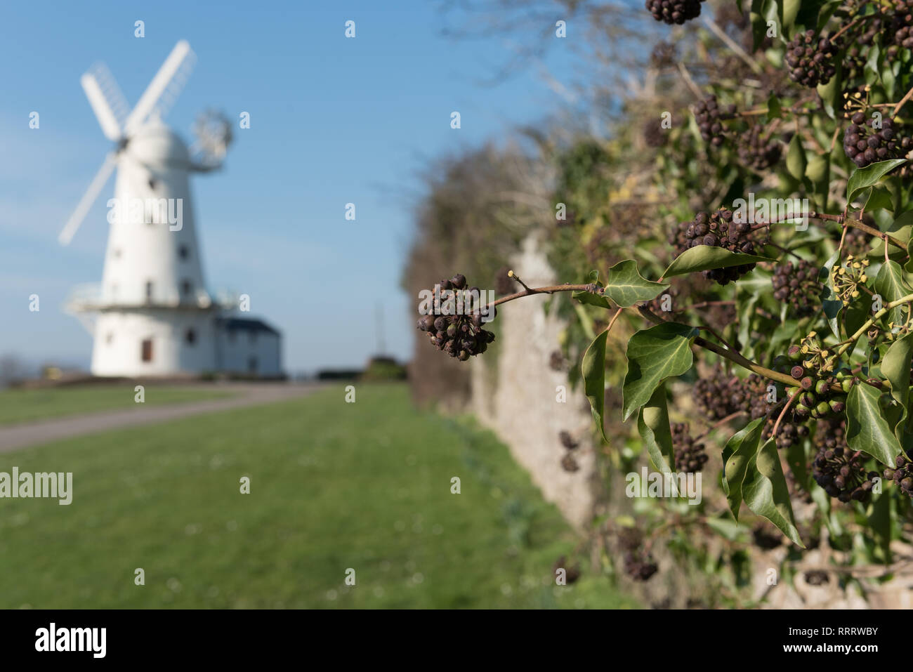 windmill with blue background dramatic light sky Stock Photo - Alamy