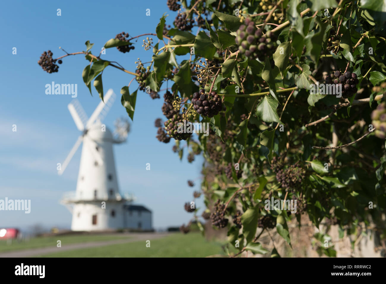 windmill with blue background dramatic light sky Stock Photo - Alamy