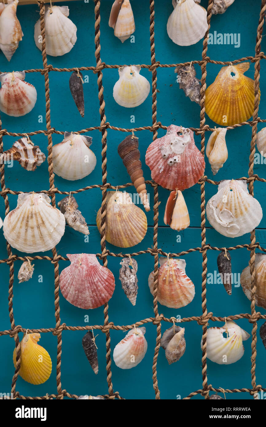 Assorted seashells displayed on a fishing net Stock Photo - Alamy
