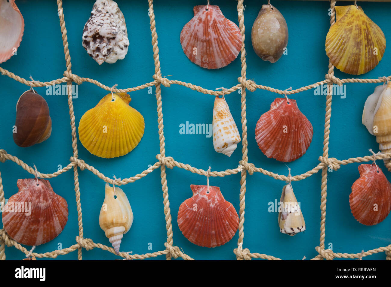 Decorated net shells hi-res stock photography and images - Alamy