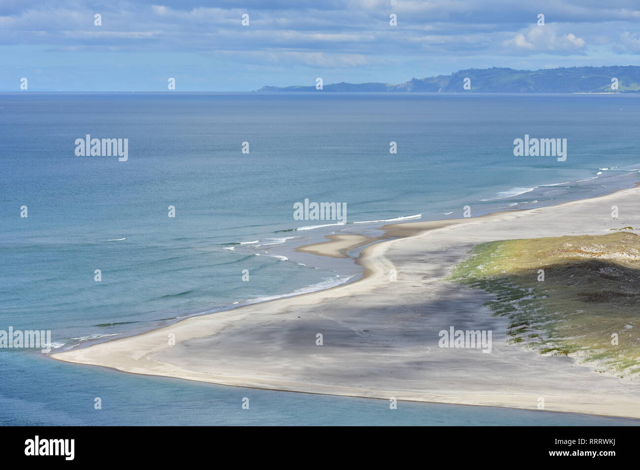 Flat tidal sandy coastal area followed by dune covered with native ...
