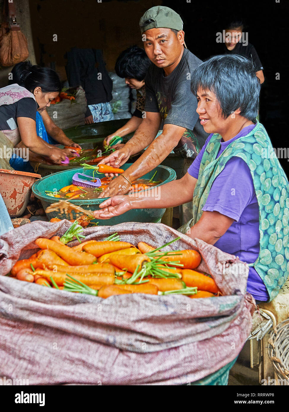 Wash carrot hi-res stock photography and images - Alamy