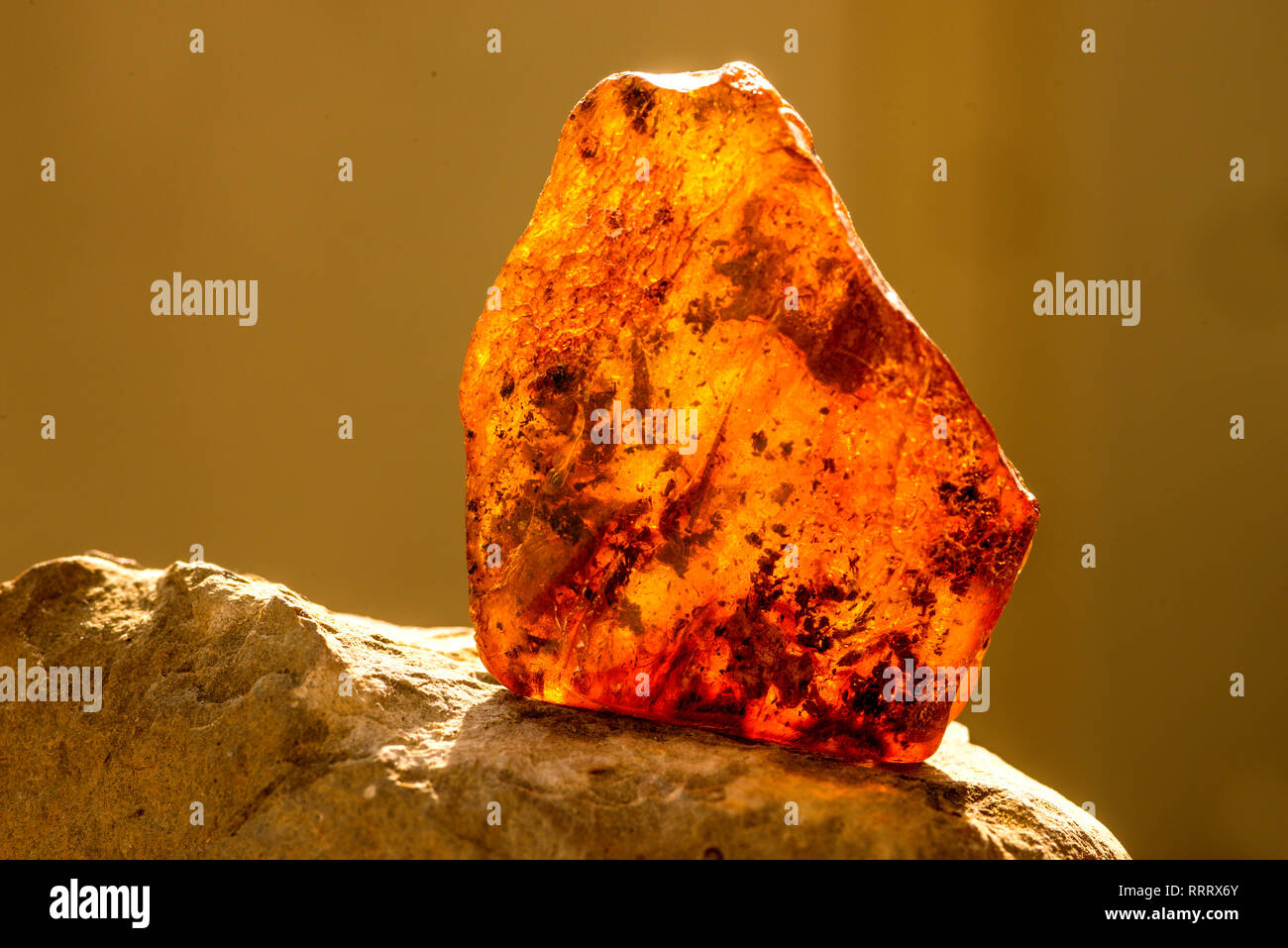 Amber in sun with inclusions Stock Photo - Alamy