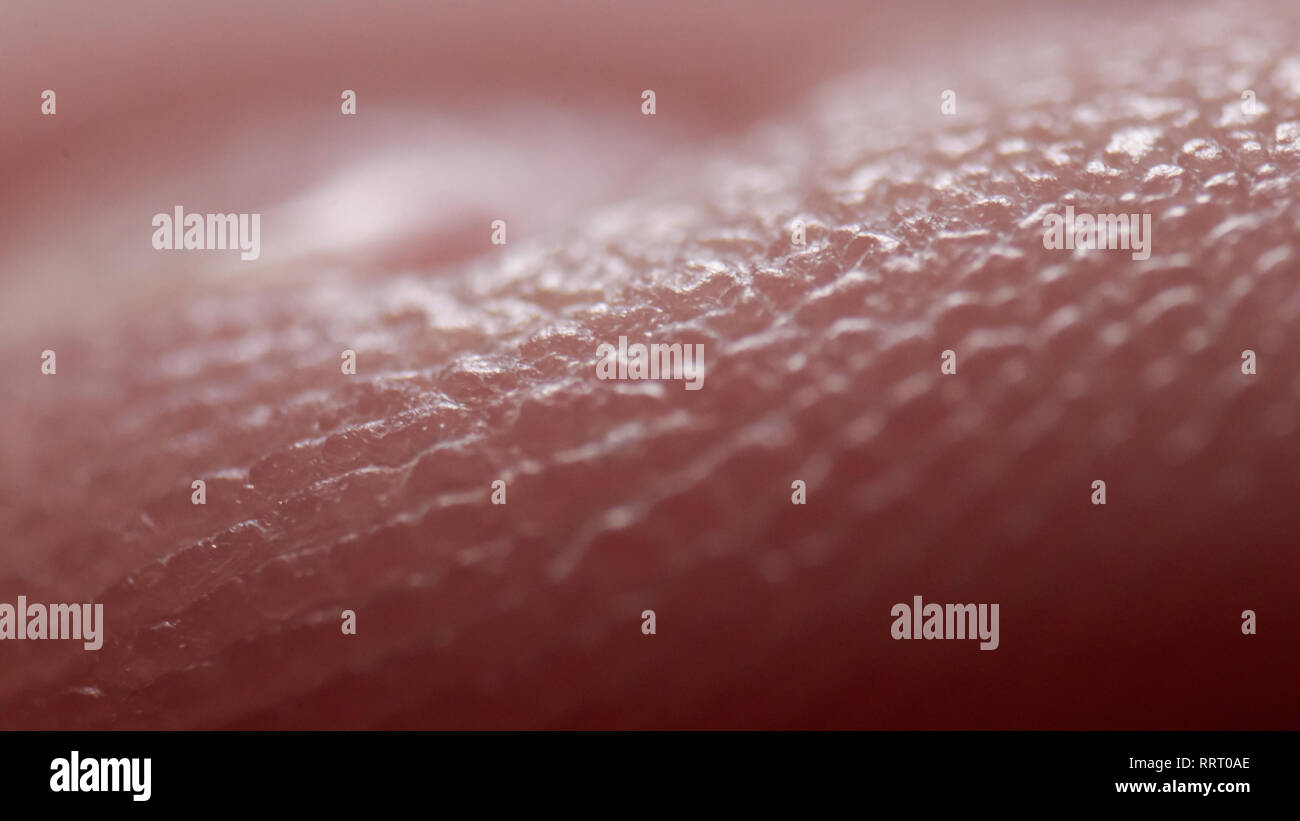 Human skin texture closeup detail hi-res stock photography and images ...