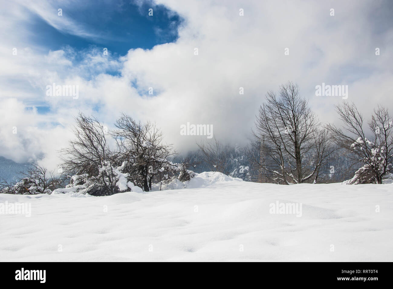 Ice landward hi-res stock photography and images - Alamy