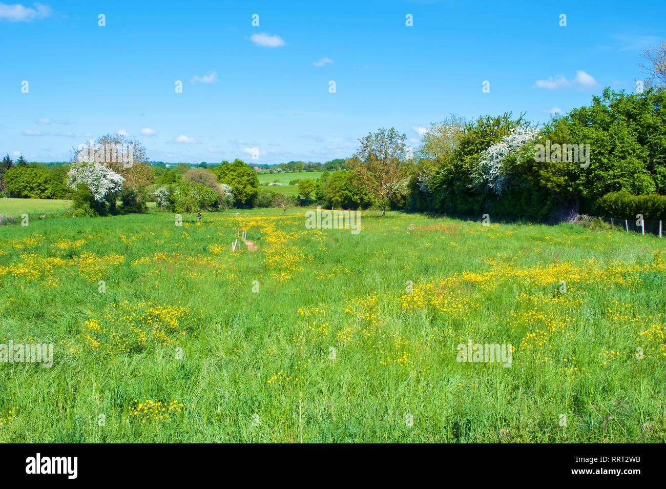 The green fields of france hi-res stock photography and images - Alamy